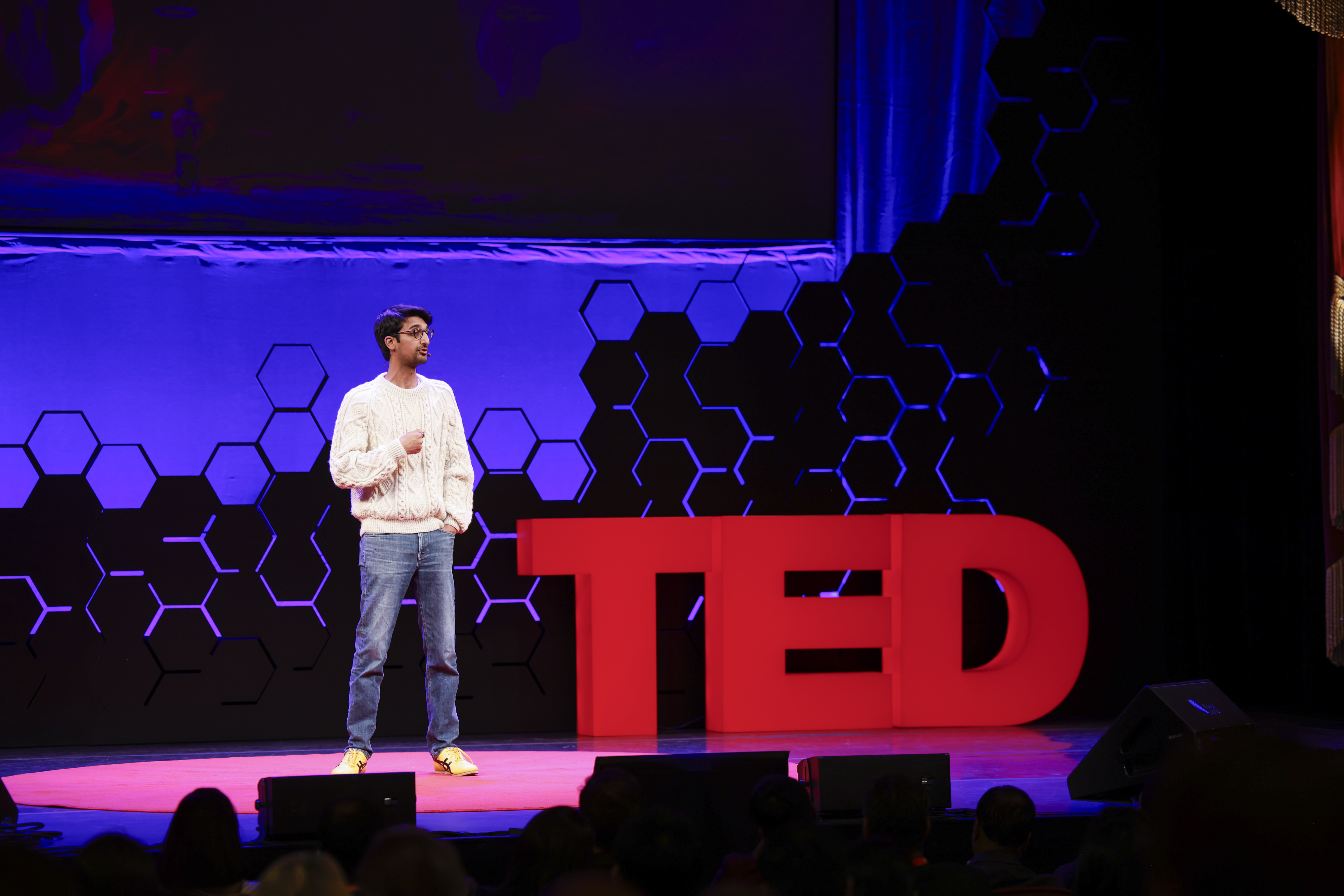 Karan Goel | TEDAI San Francisco